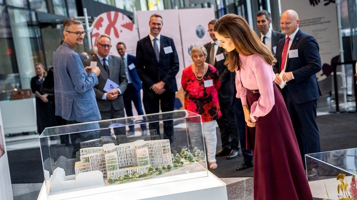 Ambitioner om politisk samarbejde får fonde til at skrue op for public ...