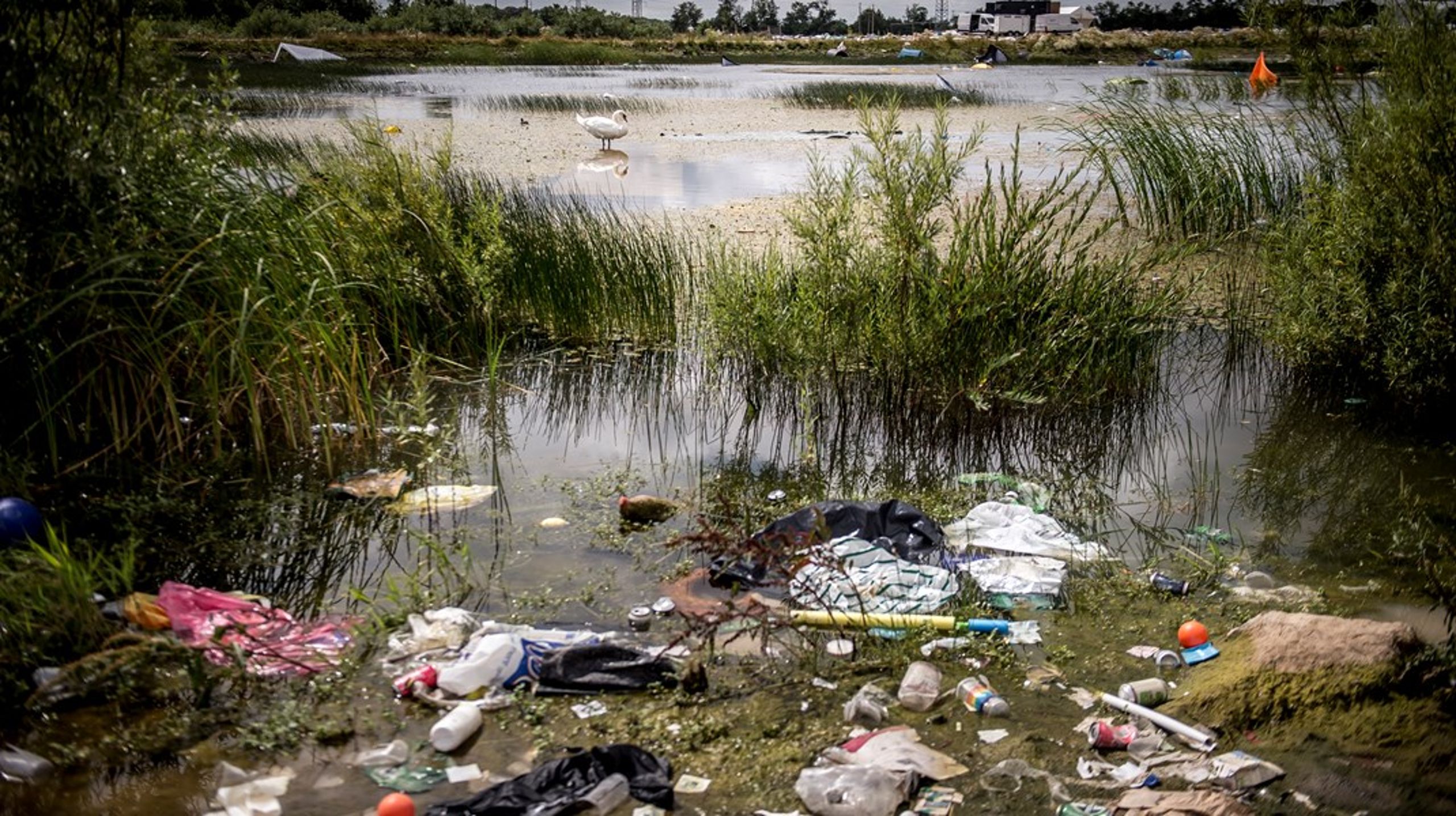 Wermelin og Plastic Change: Global aftale skal sikre, at plastikkurven ...