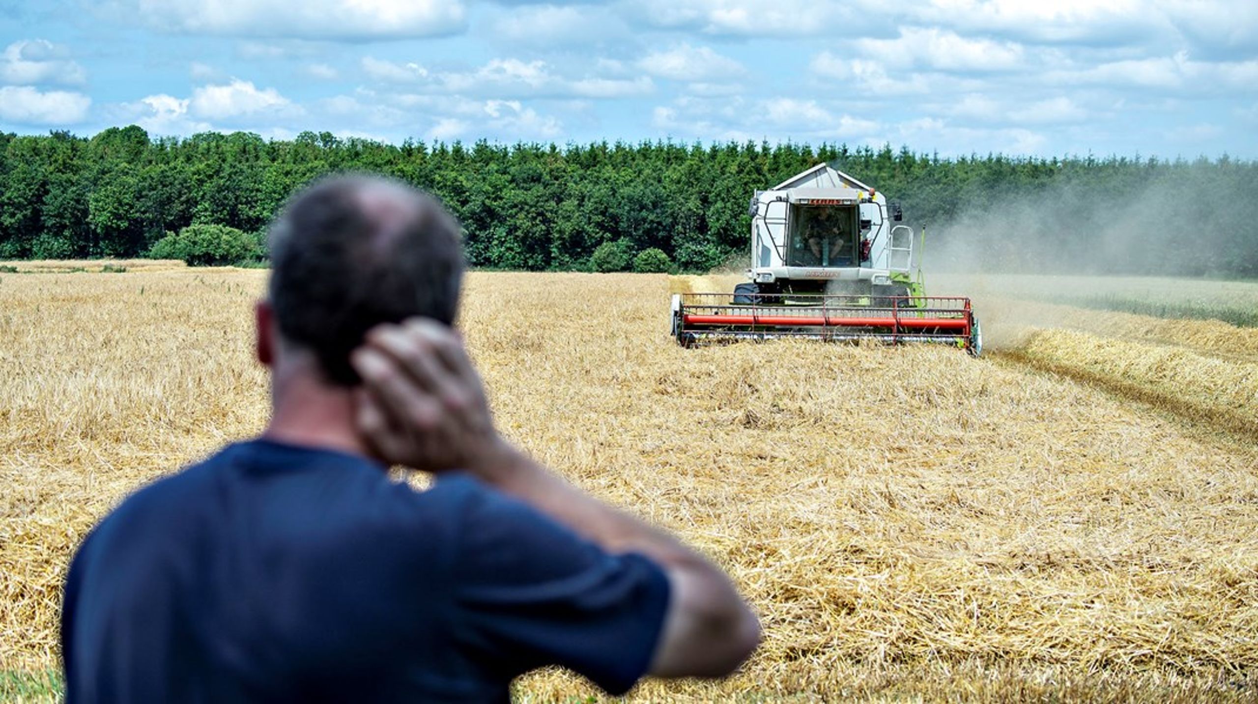 Fakta: Et generationsskifte i dansk landbrug er uundgåeligt - Altinget