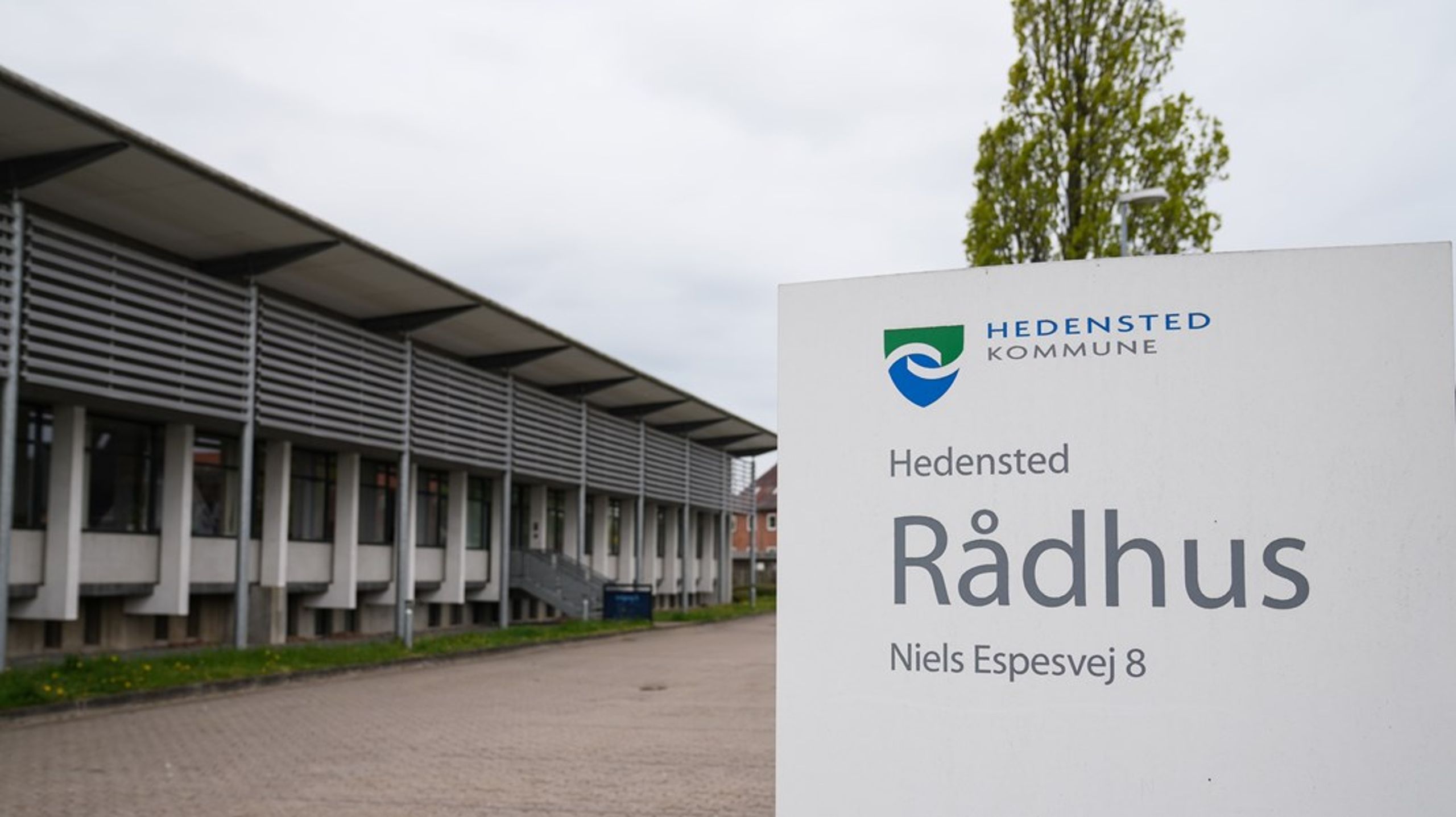 Hedensted ansætter kommunaldirektør - Altinget - Alt om politik ...