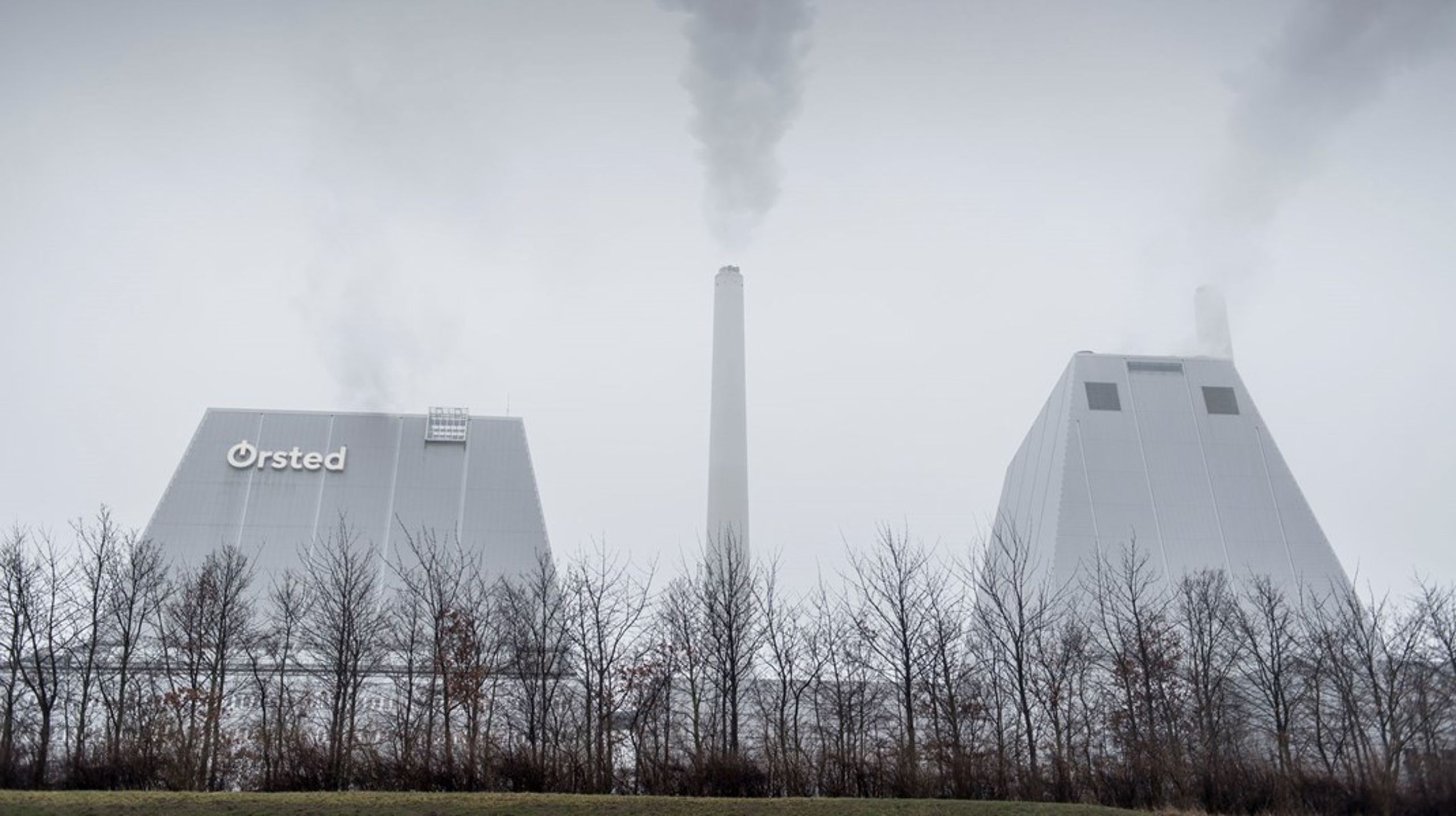 Ørsted vinder første store udbud om CO2-fangst – får først fuld effekt ...